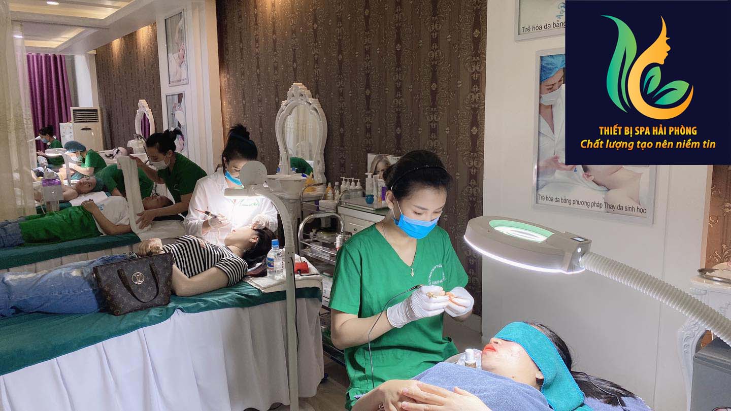 Cần mở spa tại Hải Phòng? Tìm hiểu ngay giải pháp toàn diện.